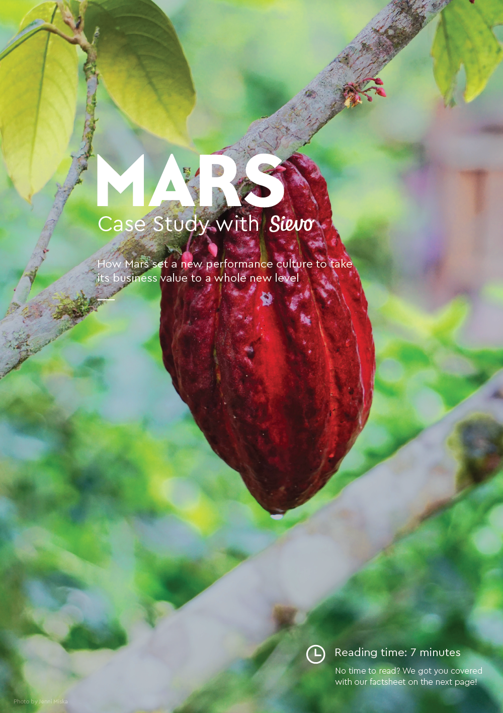 Mars with Sievo | Case Study